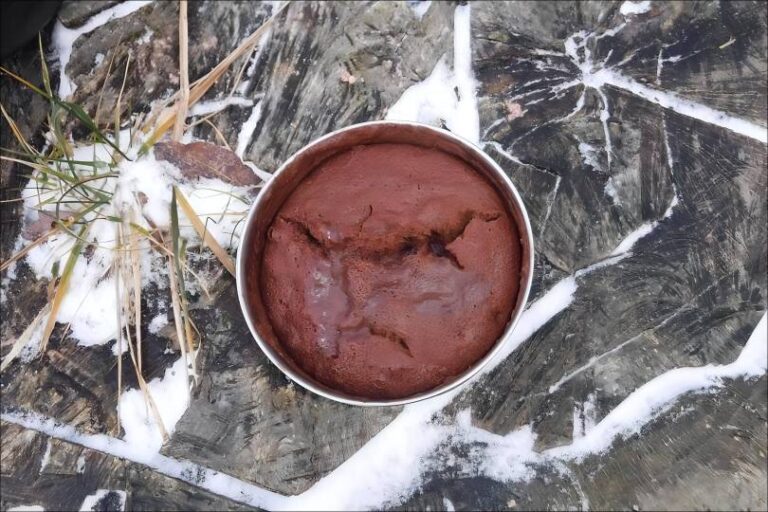 Lightweight Backpacking Canister Gas Stove with Integrated Pressure ...